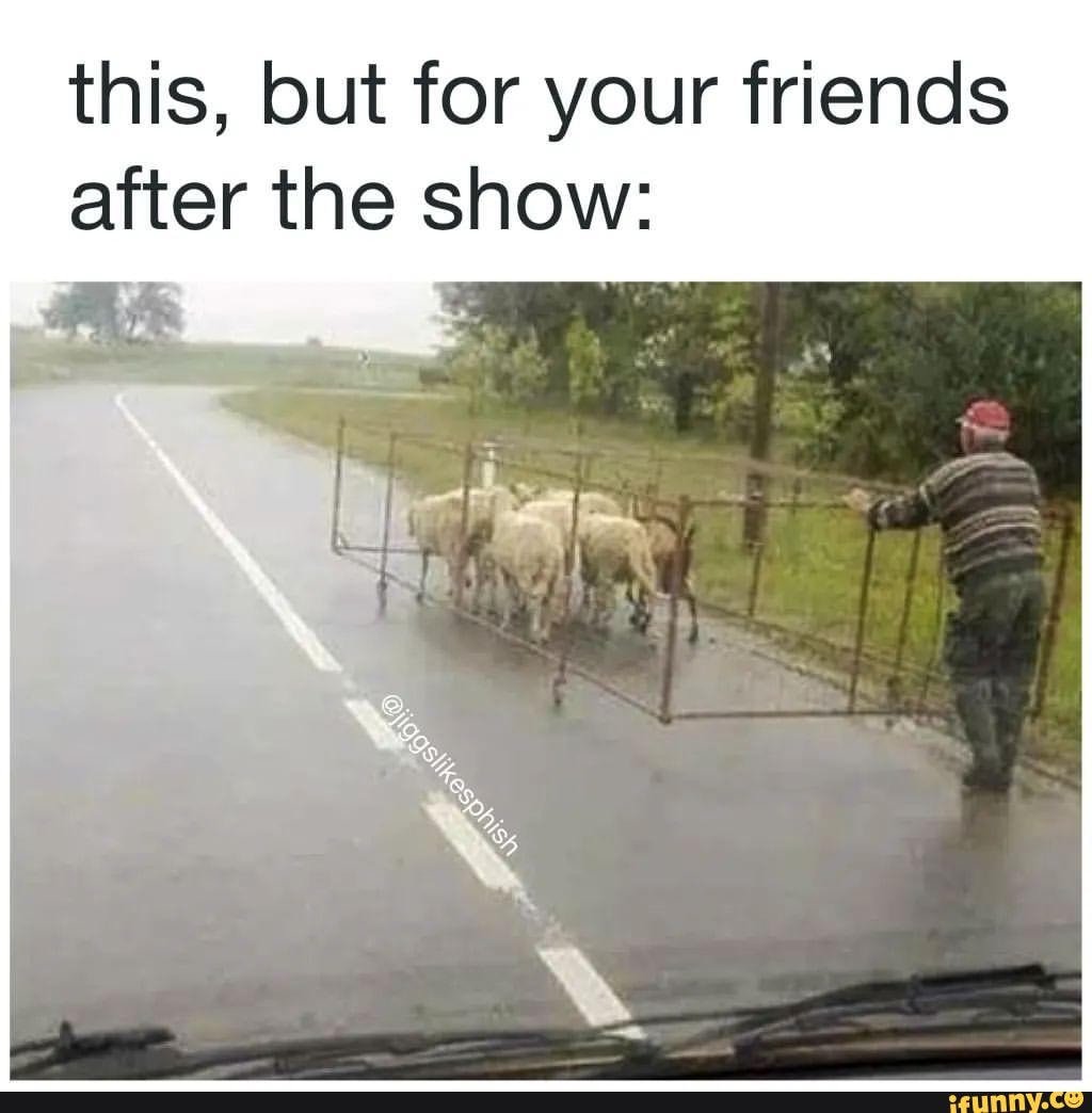 Gooooooooooo memes. Best Collection of funny Gooooooooooo pictures on ...