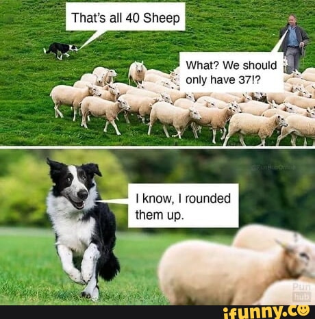 Sheep memes. Best Collection of funny Sheep pictures on iFunny