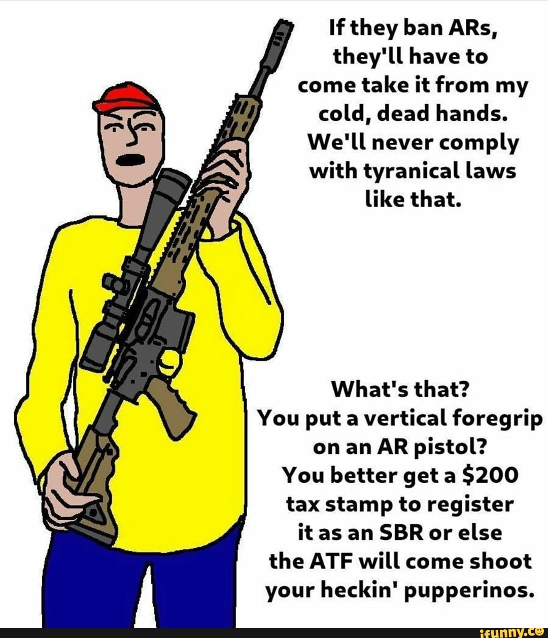 If they ban ARs, they'll have to come take it from my cold, dead hands ...