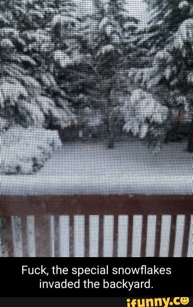 Specialsnowflake memes. Best Collection of funny Specialsnowflake ...