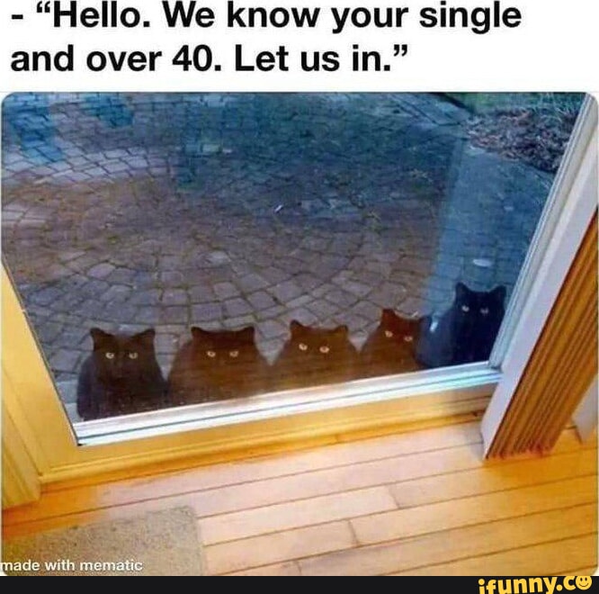 Hello. We know your single and over 40. Let us in." made with memati ...