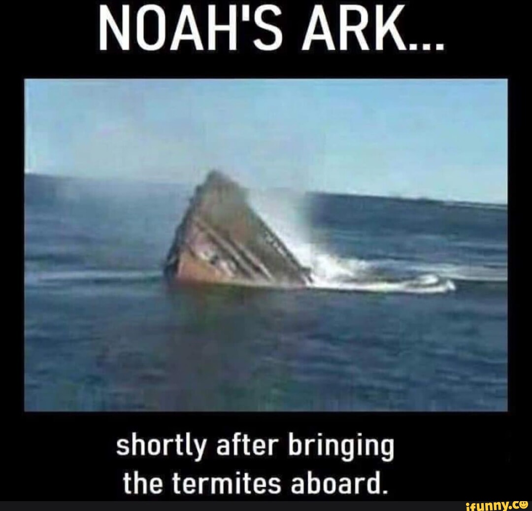 Termites memes. Best Collection of funny Termites pictures on iFunny