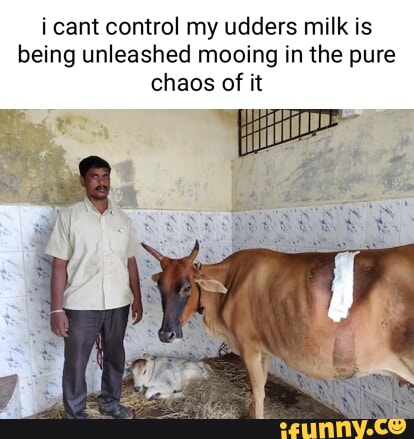 Udders memes. Best Collection of funny Udders pictures on iFunny