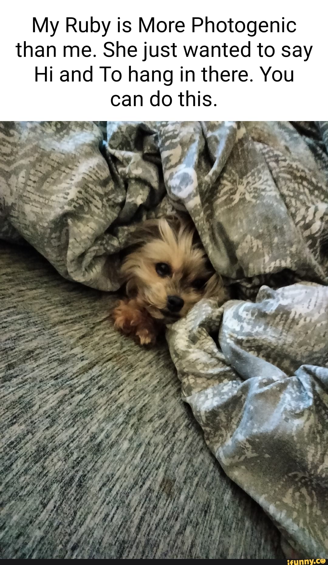 My Ruby is More Photogenic than me. She just wanted to say Hi and To ...