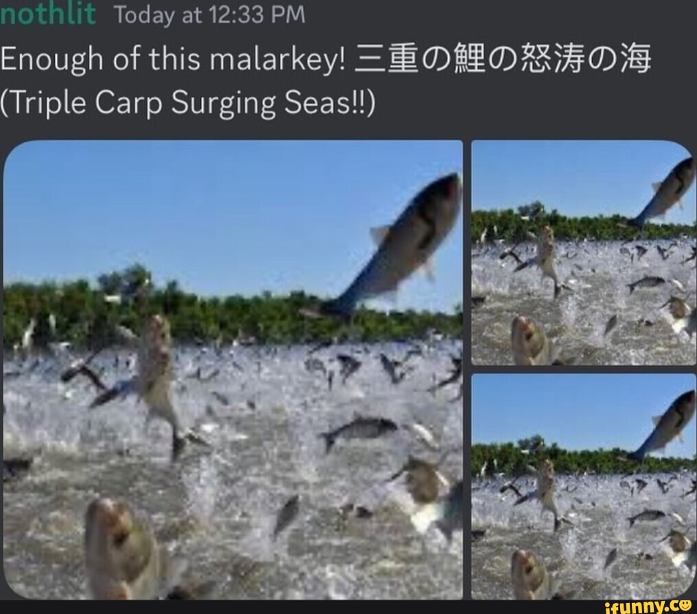 Malarkey memes. Best Collection of funny Malarkey pictures on iFunny