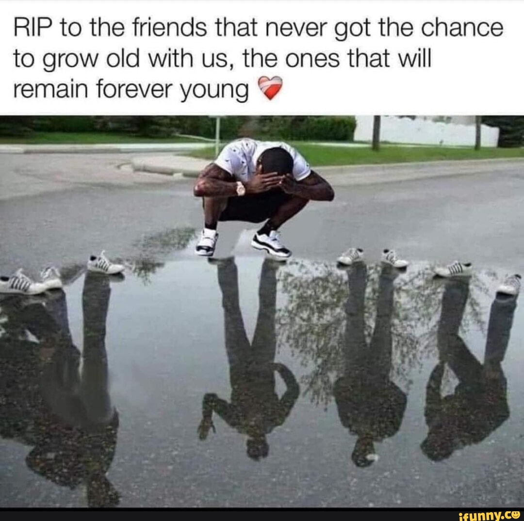 Video memes vqhE8JMhA by francheyes: 0.5K comments - iFunny