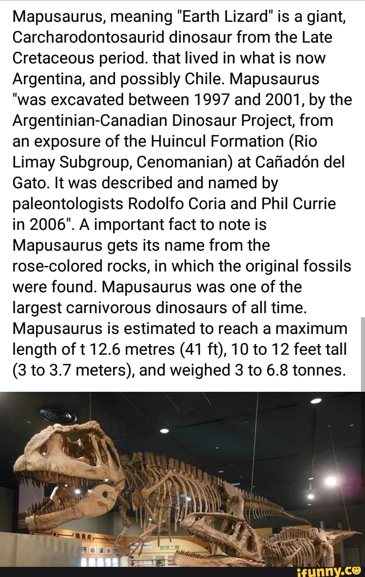 Mapusaurus, meaning "Earth Lizard" is a giant, Carcharodontosaurid ...