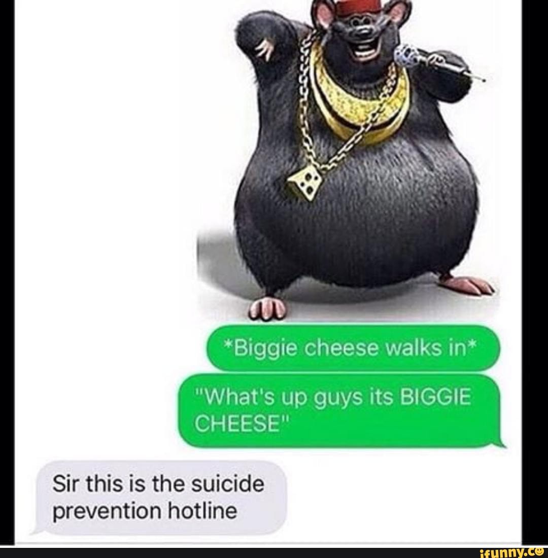 *Biggie cheese walks in* "What's up guys its BIGGIE CHEESE" Sir this is ...