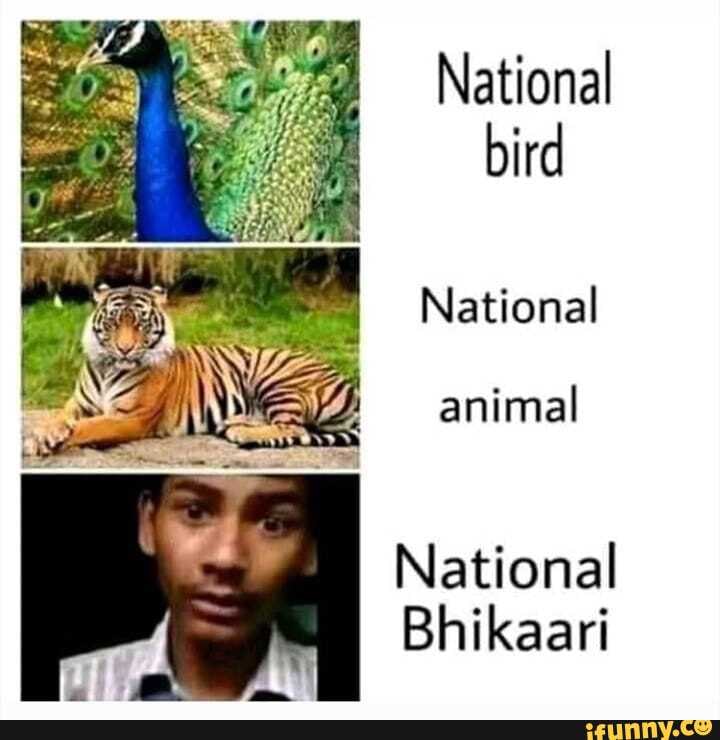 National bird National animal National Bhikaari - iFunny