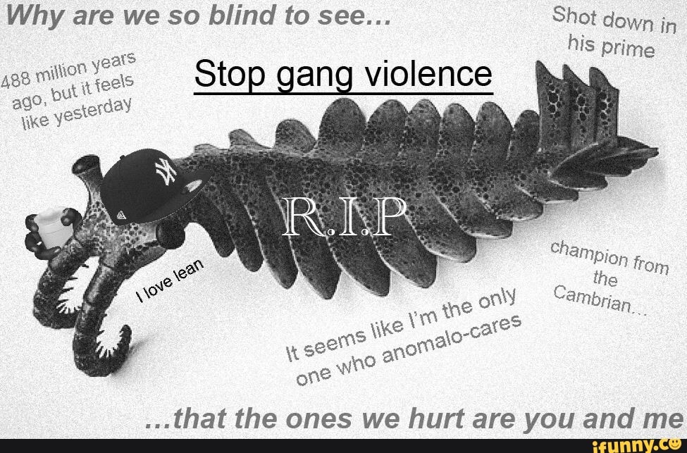 Cambrianmoment memes. Best Collection of funny Cambrianmoment pictures ...