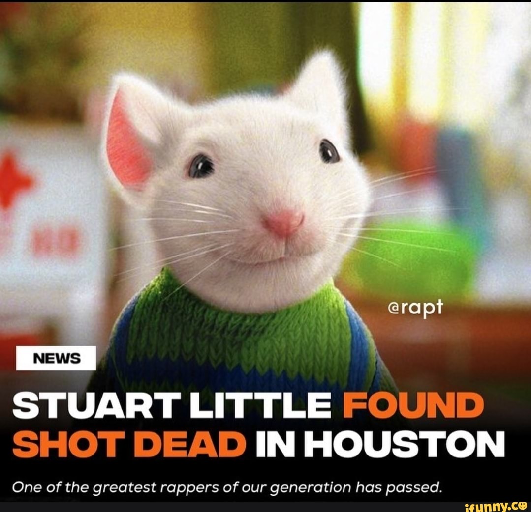 Erapt STUART LITTLE FOUND SHOT DEAD IN HOUSTON One of the greatest ...