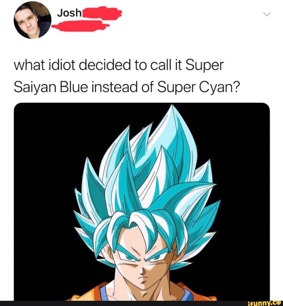 What idiot decided to call it Super Saiyan Blue instead of Super Cyan ...