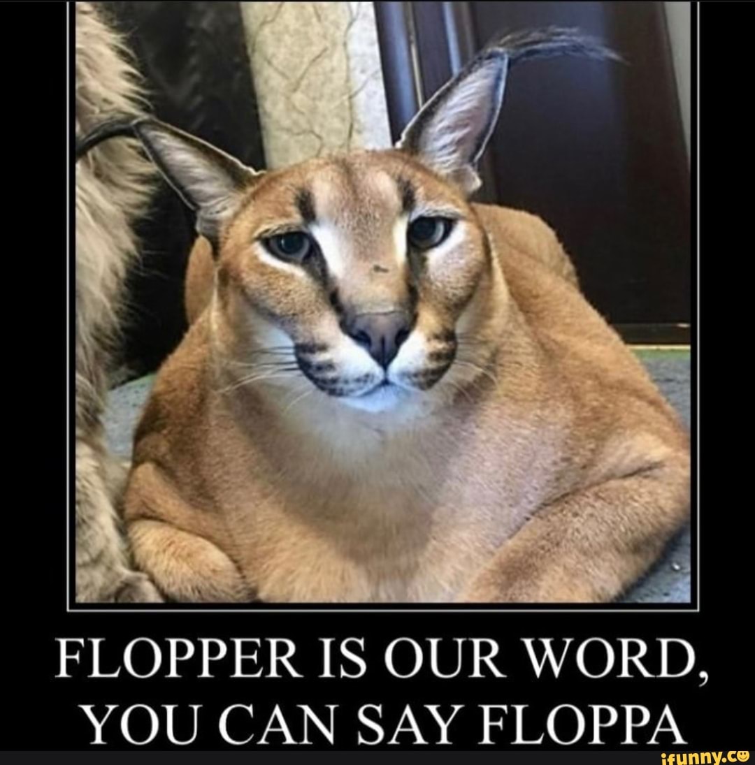 FLOPPER IS OUR WORD, YOU CAN SAY FLOPPA - iFunny