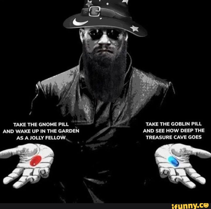 TAKE THE GNOME PILL TAKE THE GOBLIN PILL AND WAKE UP IN THE GARDEN AND ...