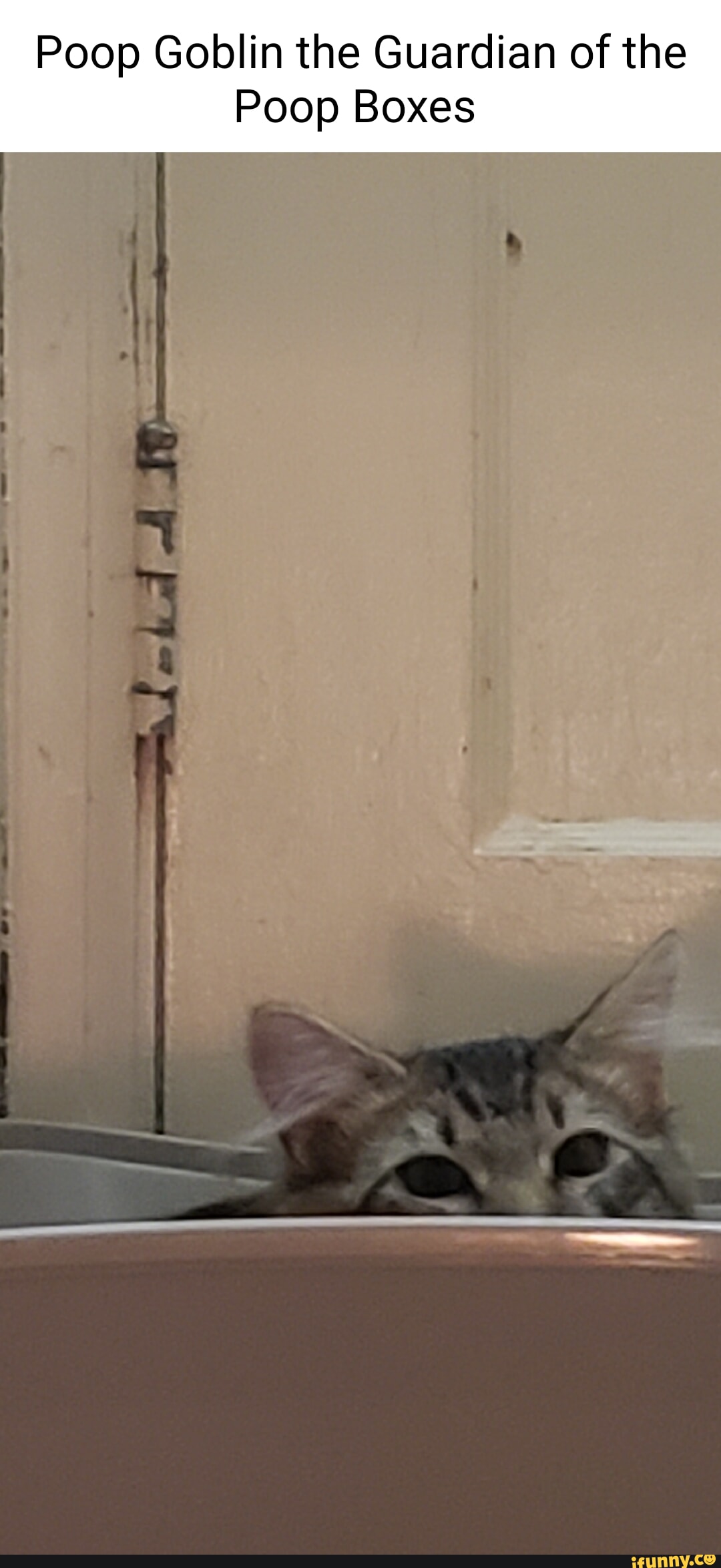 Poop Goblin the Guardian of the Poop Boxes I - iFunny