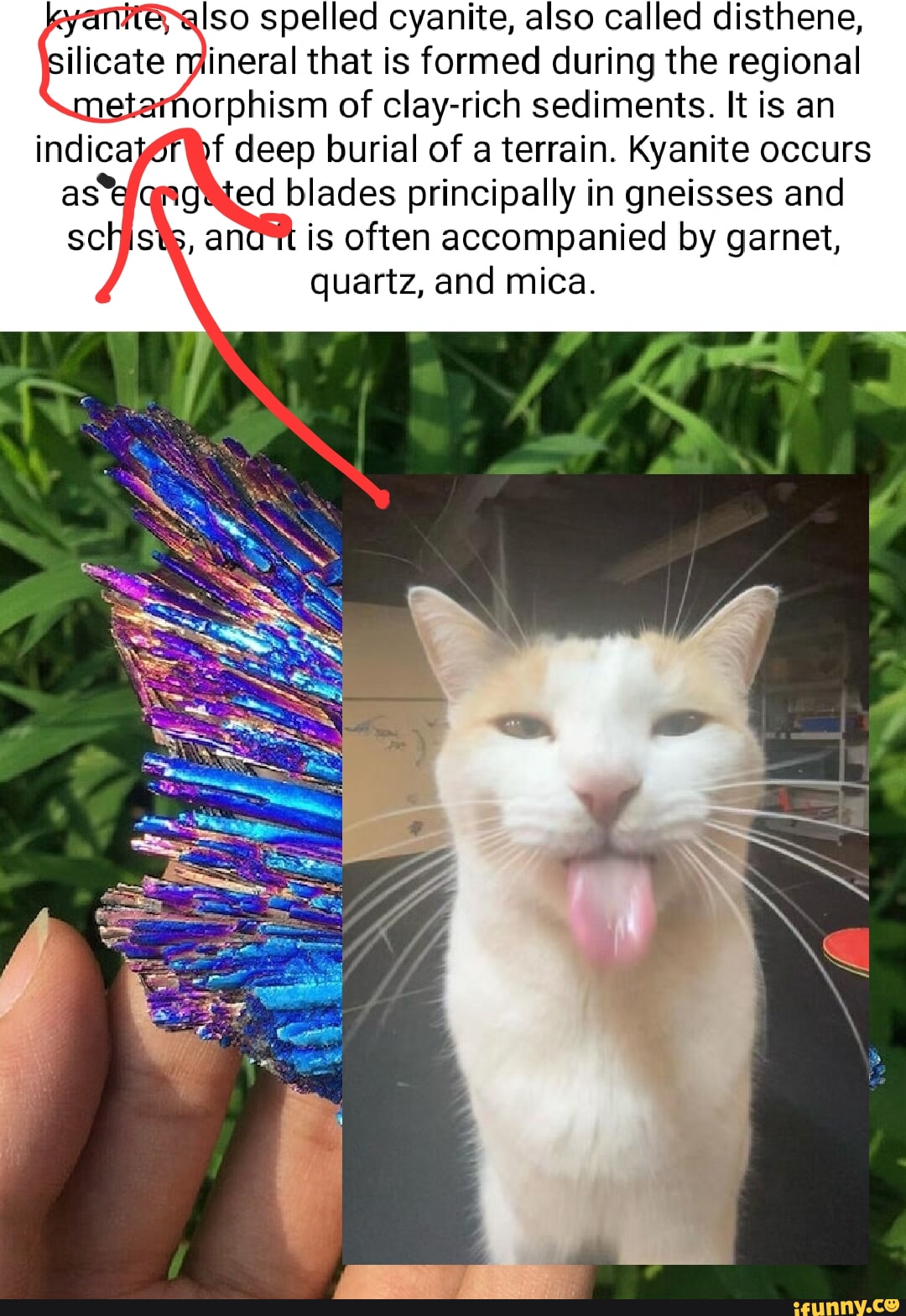 Sediments memes. Best Collection of funny Sediments pictures on iFunny