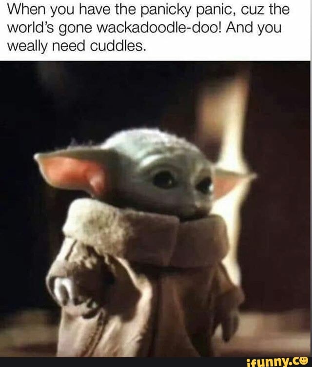 Wackadoodle memes. Best Collection of funny Wackadoodle pictures on iFunny