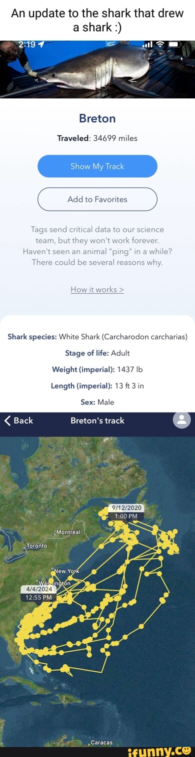 Breton memes. Best Collection of funny Breton pictures on iFunny