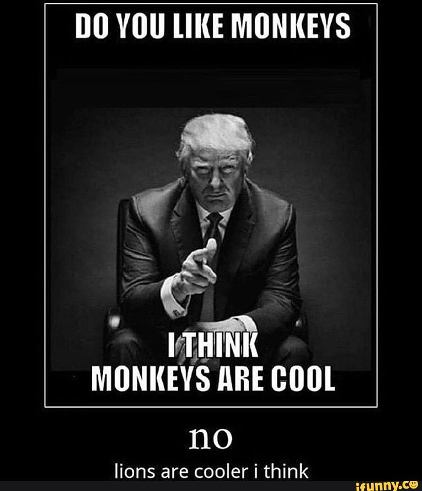 DO YOU LIKE MONKEYS VTHINK MONKEYS ARE COOL - iFunny