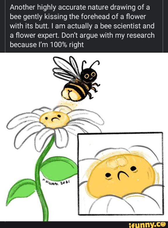 Bee_irl memes. Best Collection of funny Bee_irl pictures on iFunny