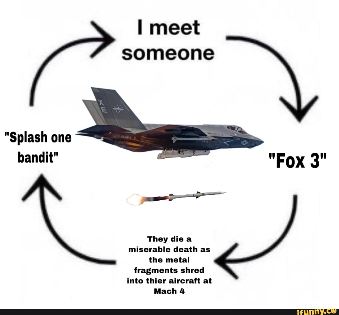 Meet someone "Splash one bandit" "Fox 3" They die miserable death as ...