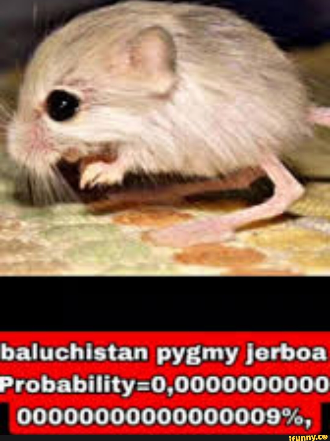 Baluchistan memes. Best Collection of funny Baluchistan pictures on iFunny
