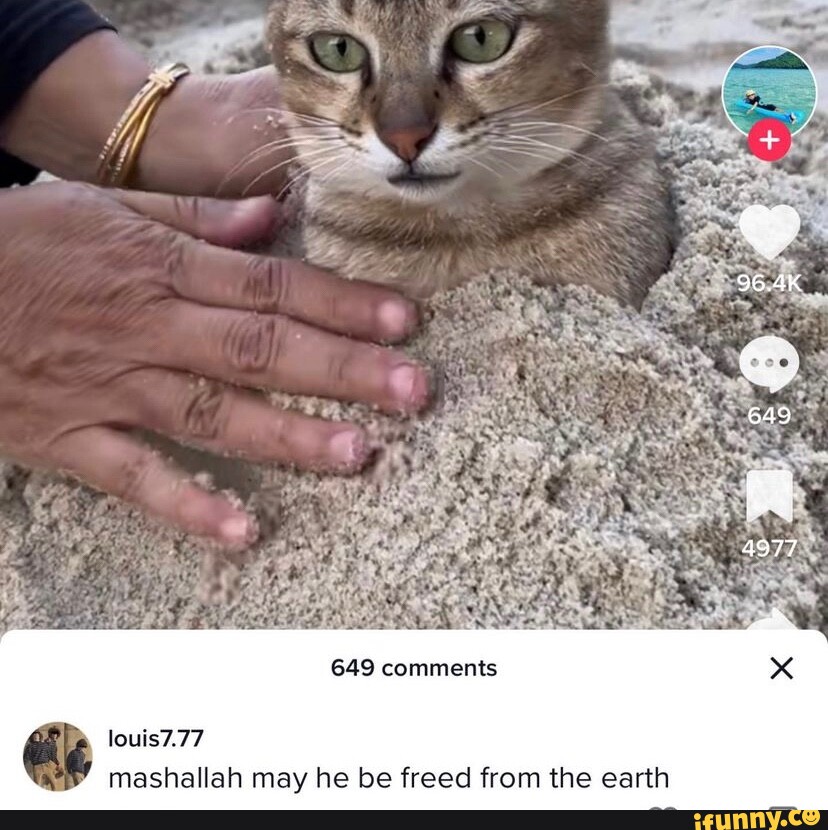 Inshallah he shall be grounded into a fine dust. A fibrous powder ...