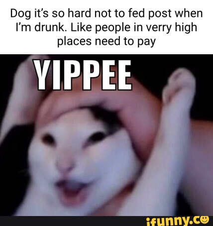 Yippee memes. Best Collection of funny Yippee pictures on iFunny