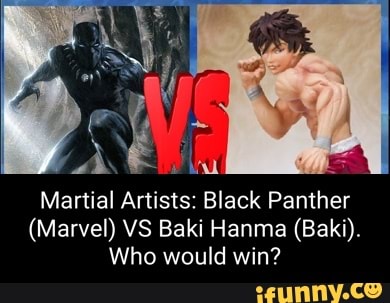 Martial Artists: Black Panther (Marvel) VS Baki Hanma (Baki). Who would ...