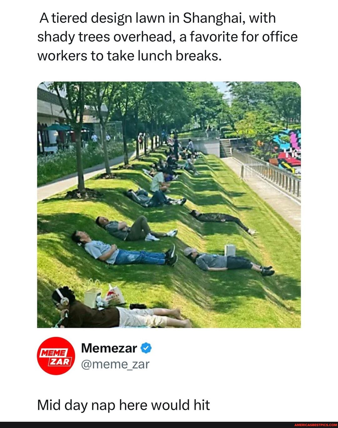 Atiered design lawn in Shanghai, with shady trees overhead, a favorite ...