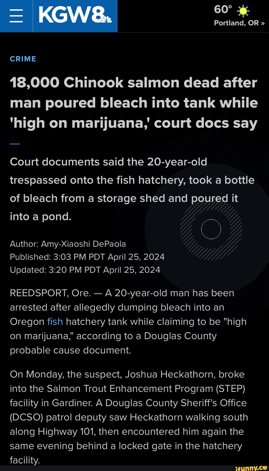 Chinook memes. Best Collection of funny Chinook pictures on iFunny