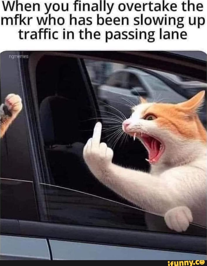 Narancia doesn t know what he' s doing. He just wants to show you his ...