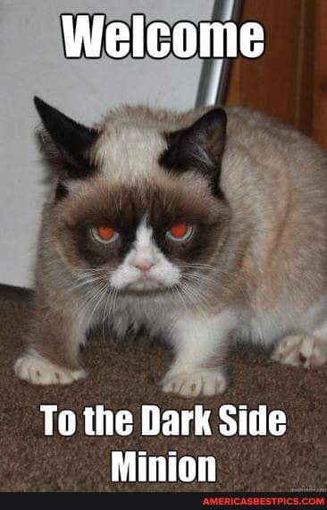 Welcome To the Dark Side Minion - America’s best pics and videos