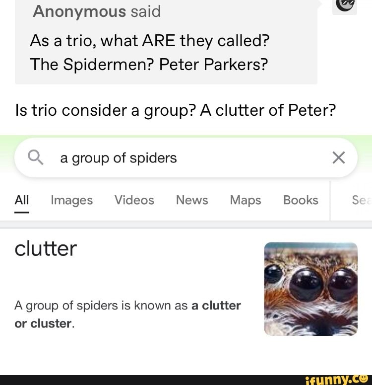 Anonymous said As a trio, what ARE they called? The Spidermenp? Peter ...