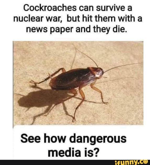 Cockroaches can survive a nuclear war, but hit them with a news paper ...
