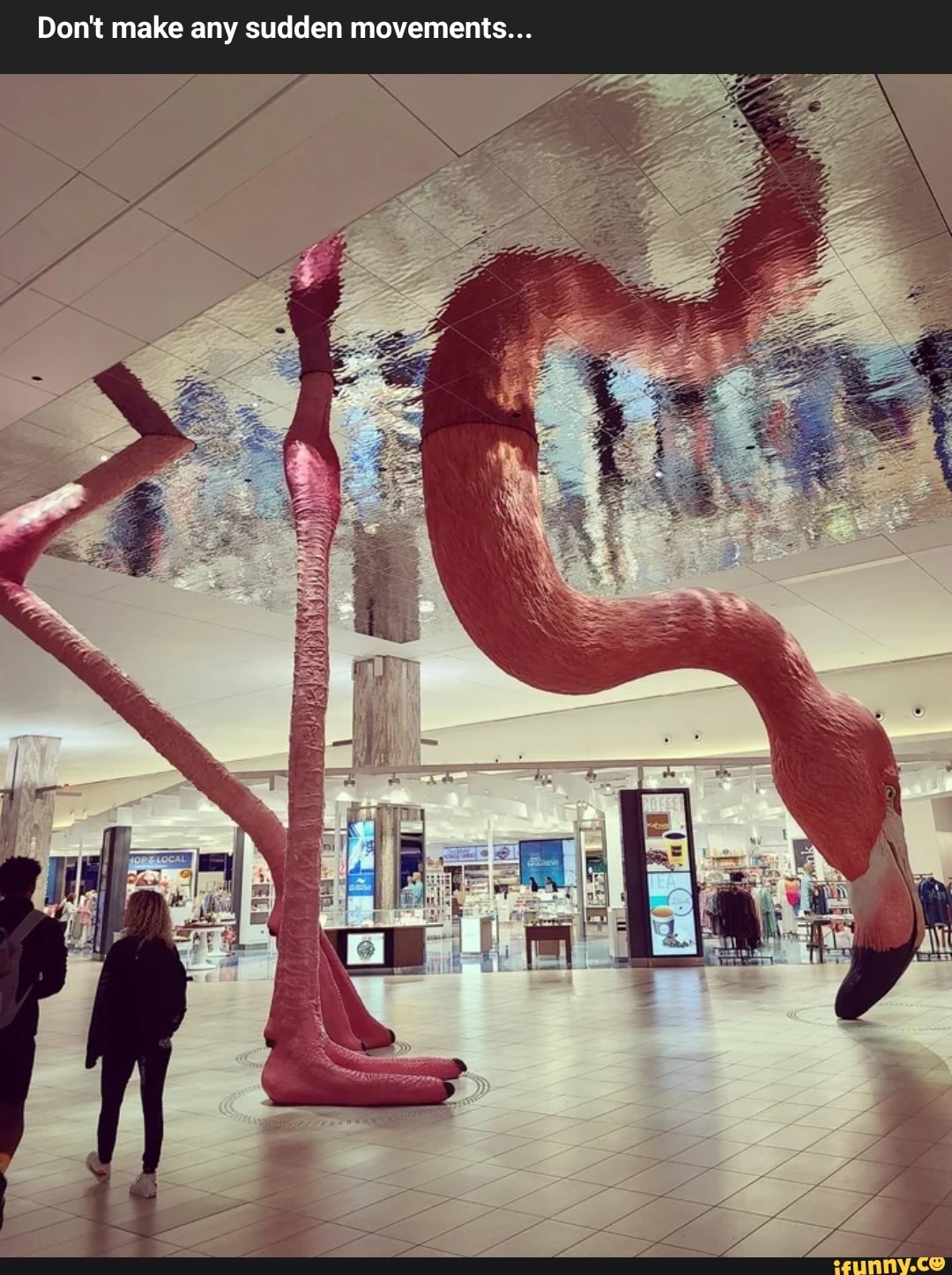 Don't make any sudden movements... - iFunny