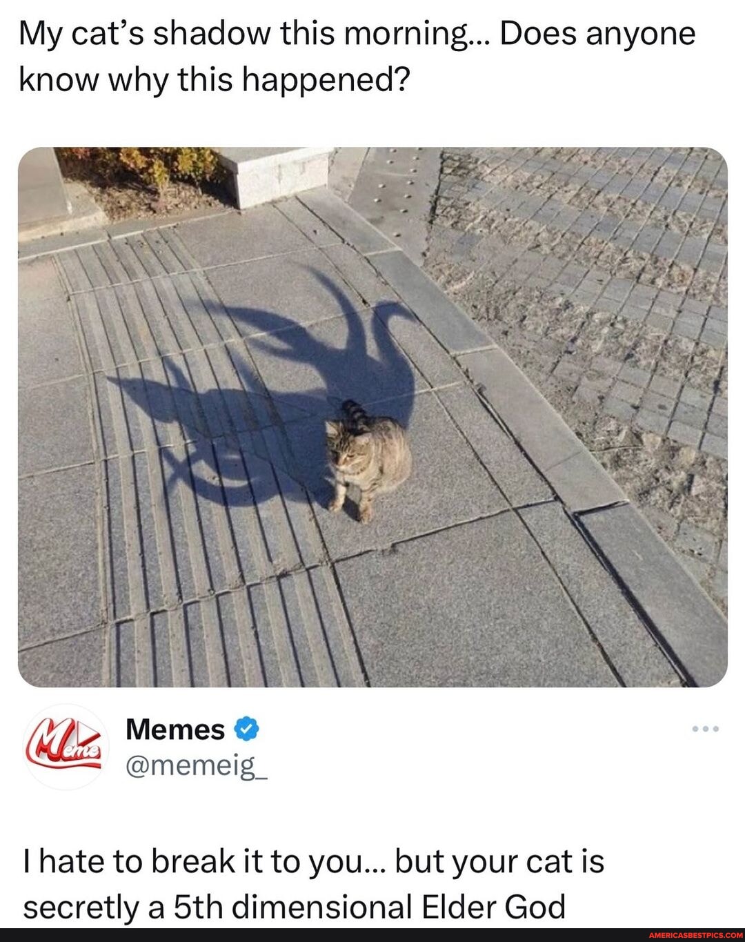 Hes showing his true colors memes explore wholesome photography - My ...