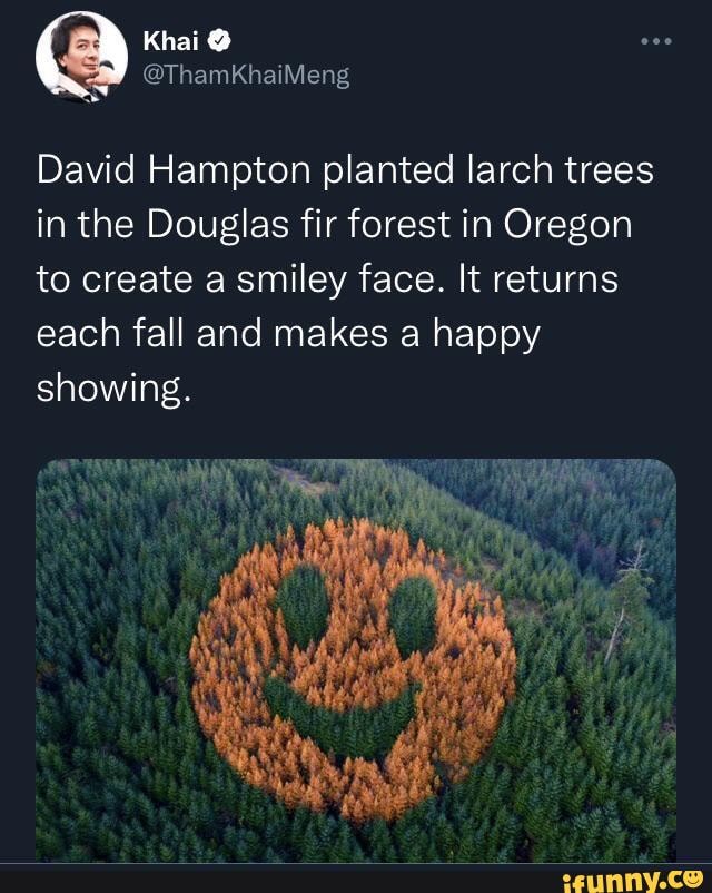 Khai David Hampton planted larch trees in the Douglas fir forest in ...