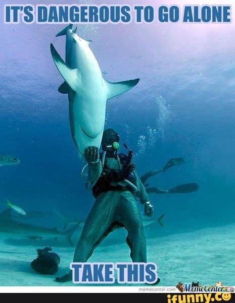 IT'S DANGEROUS TO GO ALONE - iFunny