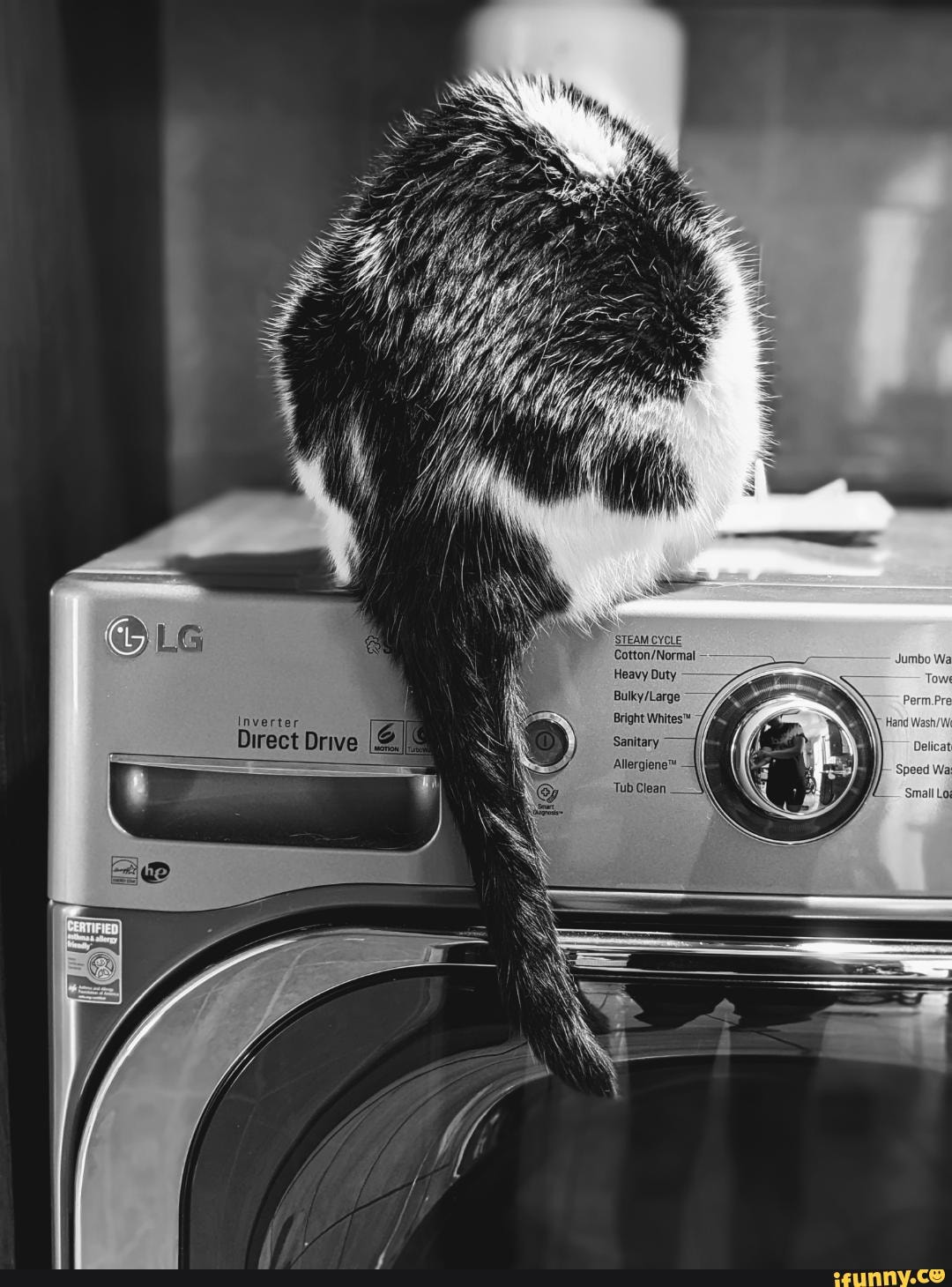 Inverter memes. Best Collection of funny Inverter pictures on iFunny