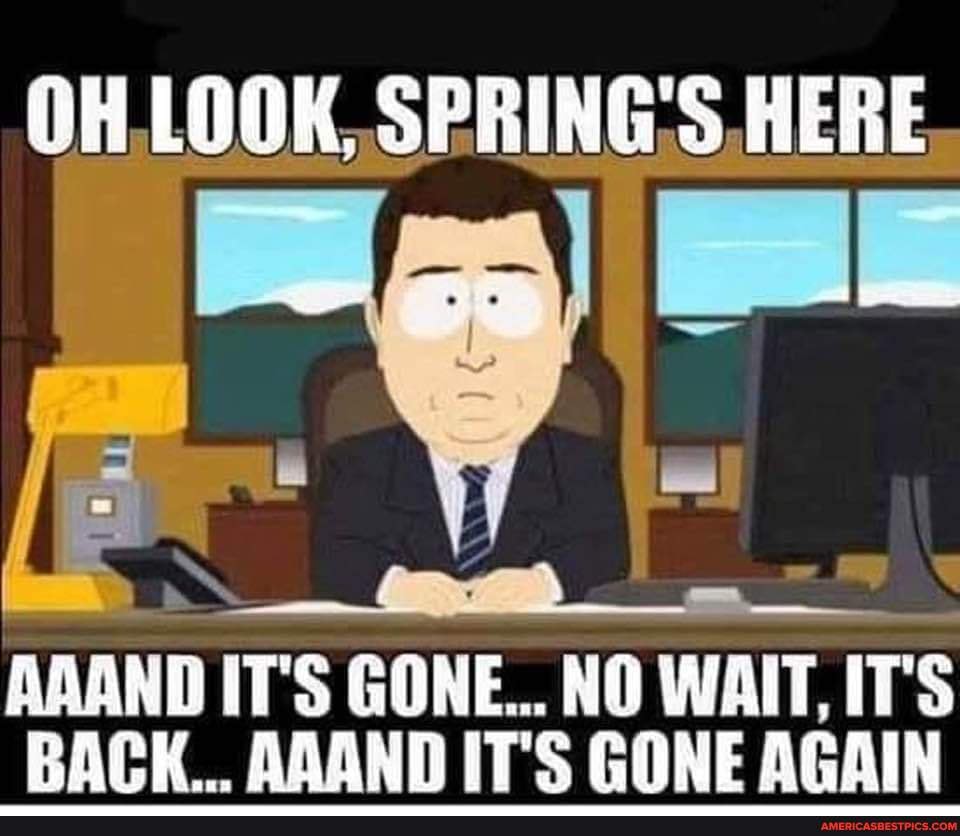 OH LOOK SPRINGS HERE AAAND IT'S GONE... NO WAIT, IT'S BACK... AAAND IT ...