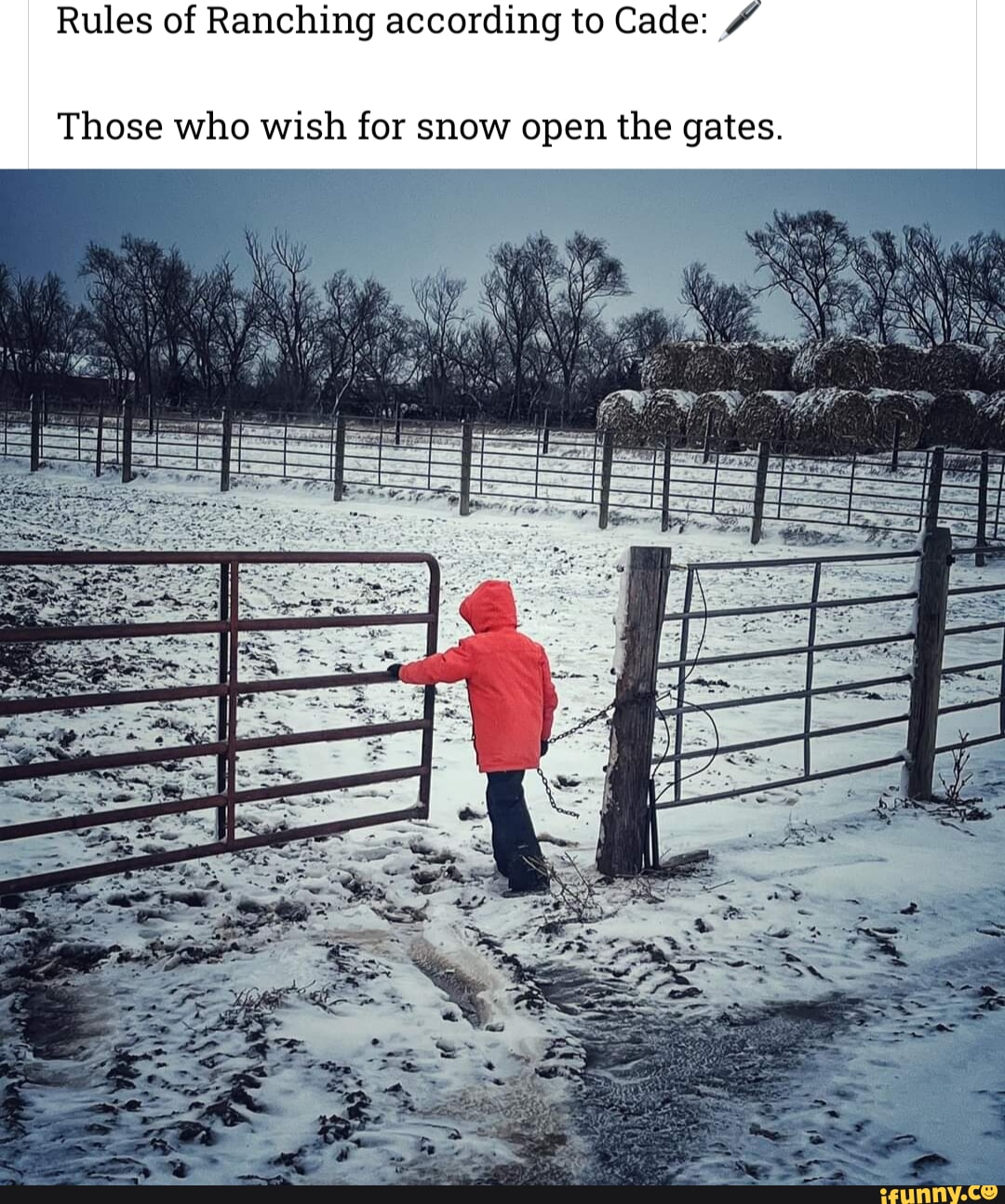 Ranching memes. Best Collection of funny Ranching pictures on iFunny