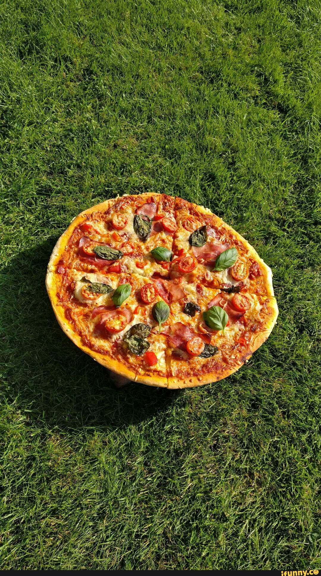 Complementary colours shown with stone oven pizza - iFunny