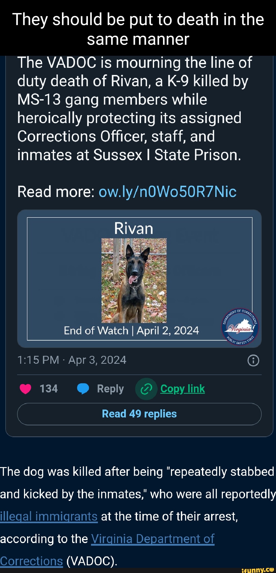 K9 memes. Best Collection of funny K9 pictures on iFunny