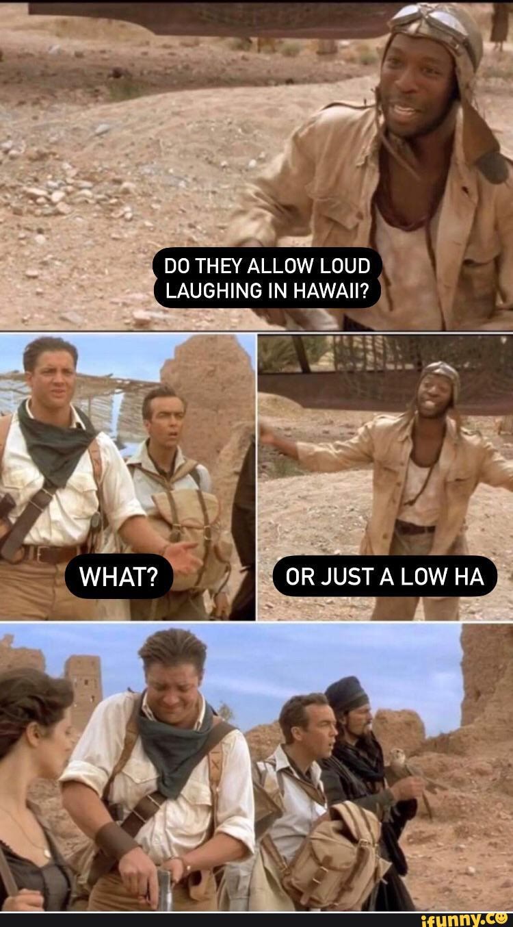 DO THEY ALLOW LOUD LAUGHING IN HAWAII? OR JUST A LOW HA - iFunny