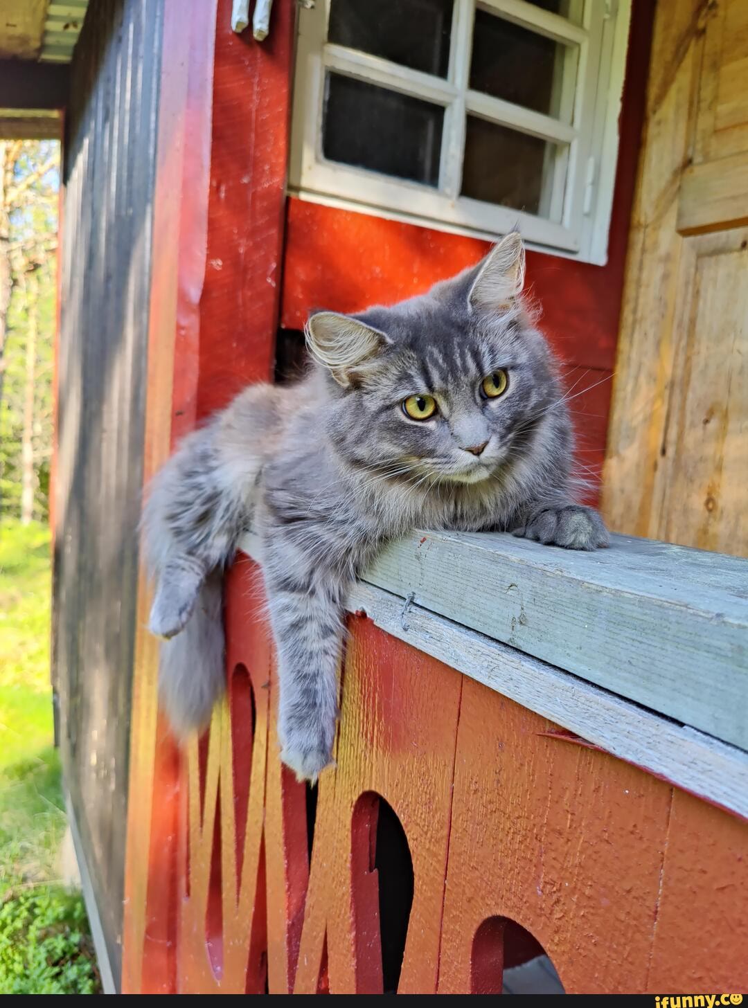 Cabin memes. Best Collection of funny Cabin pictures on iFunny