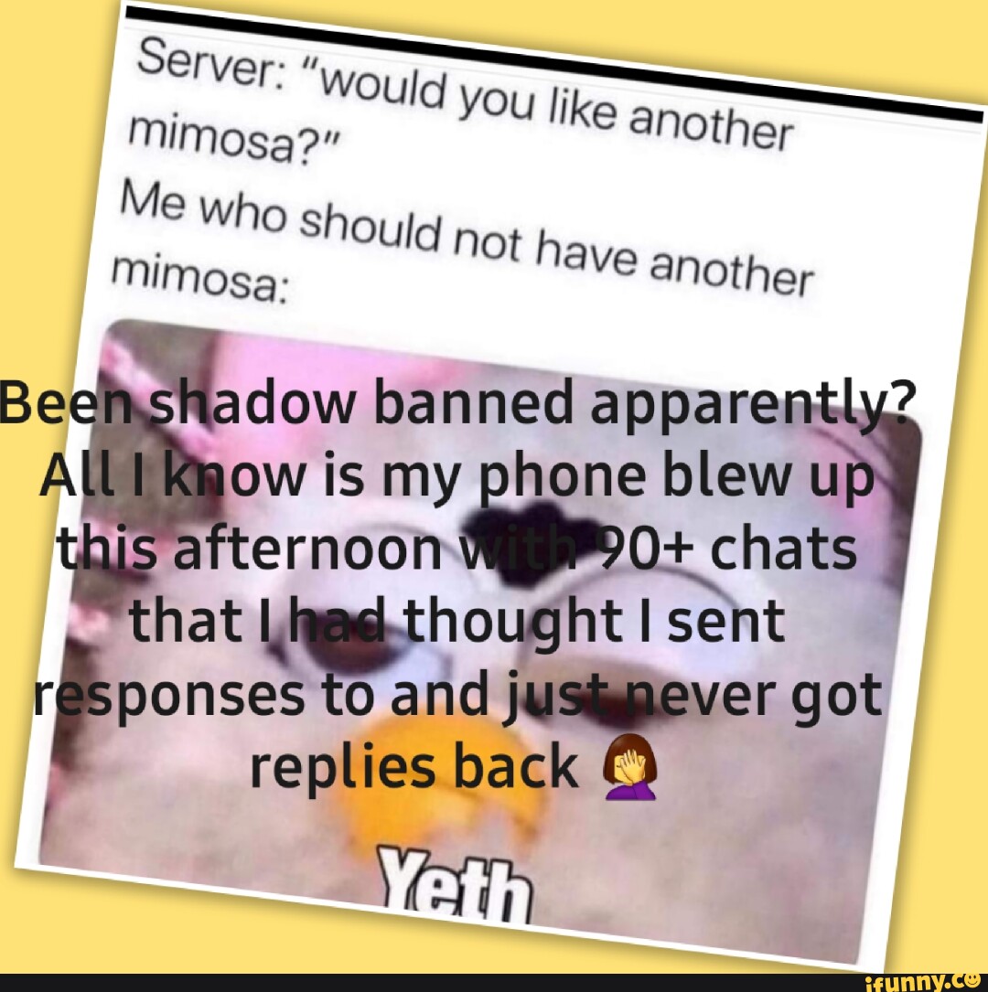 Server: er: "would You like another mimosa?" Me who Shoul mimose: Be ...