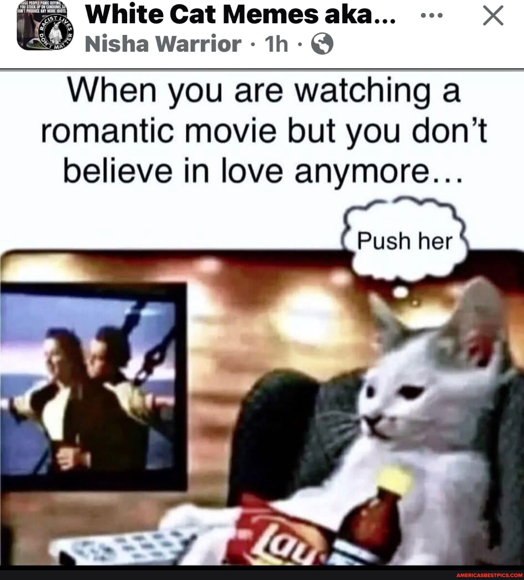 White Cat Memes aka... Nisha Warrior - When you are watching a romantic ...