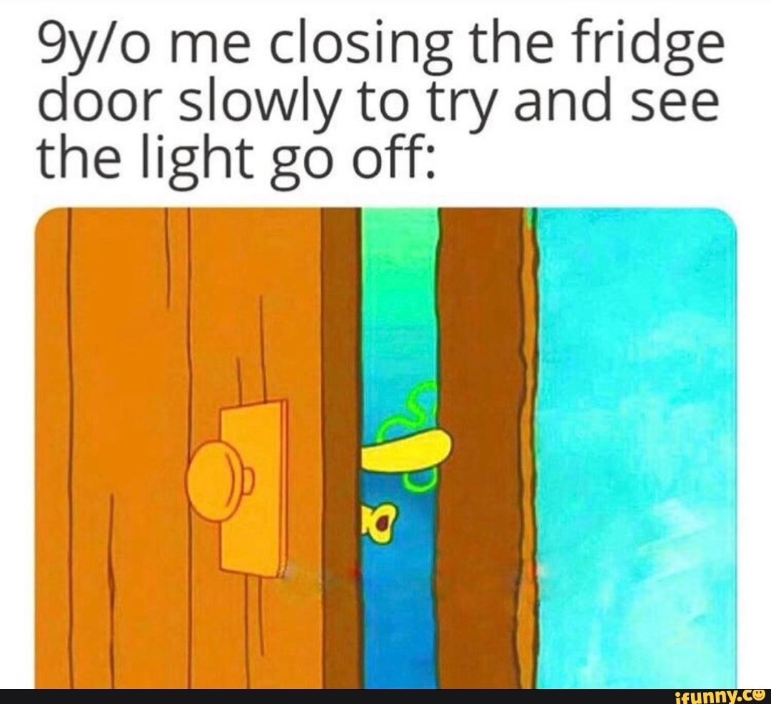 Me closing the fridge door slowly to try and see the light go off: - iFunny