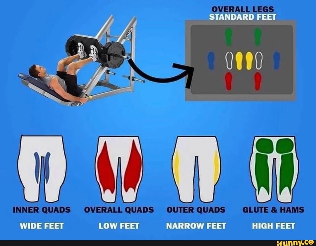 Different foot positions for leg presses - OVERALL LEGS STANDARD FEET ...